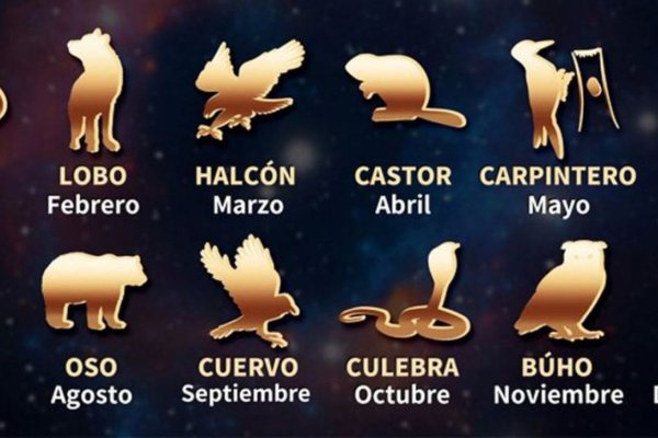 Conocé los signos del zodíaco Nativo Americano y sus significados ...