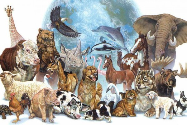 La tierra necesita cinco millones de años para recuperarse de los ...