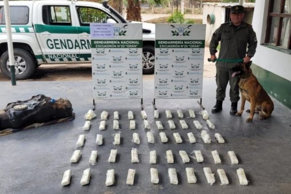 Incautan Más De 28 Kilos De Cocaína Ocultos En El Tanque De Combustible