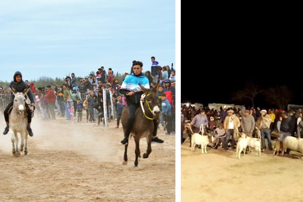 Se realizará en Vaca Human la 9ª Exposición Caprina y Maratón Rally de ...