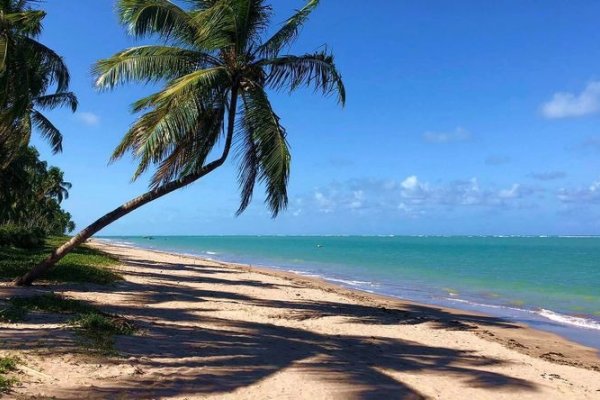 Verano en Brasil: Un lugar soñado con un mar color azul cielo | Nuevo ...