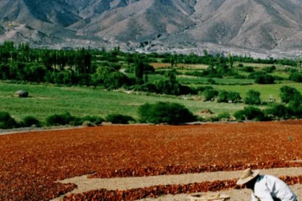 Imperdible: el pueblo de Salta con un particular paisaje colorido y una ...